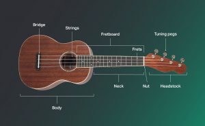 How to Play Ukulele | Learn Ukulele in 8 Steps | Yousician