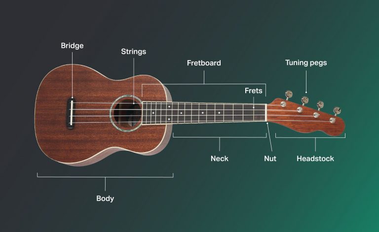 How to Play Ukulele | Learn Ukulele in 8 Steps | Yousician