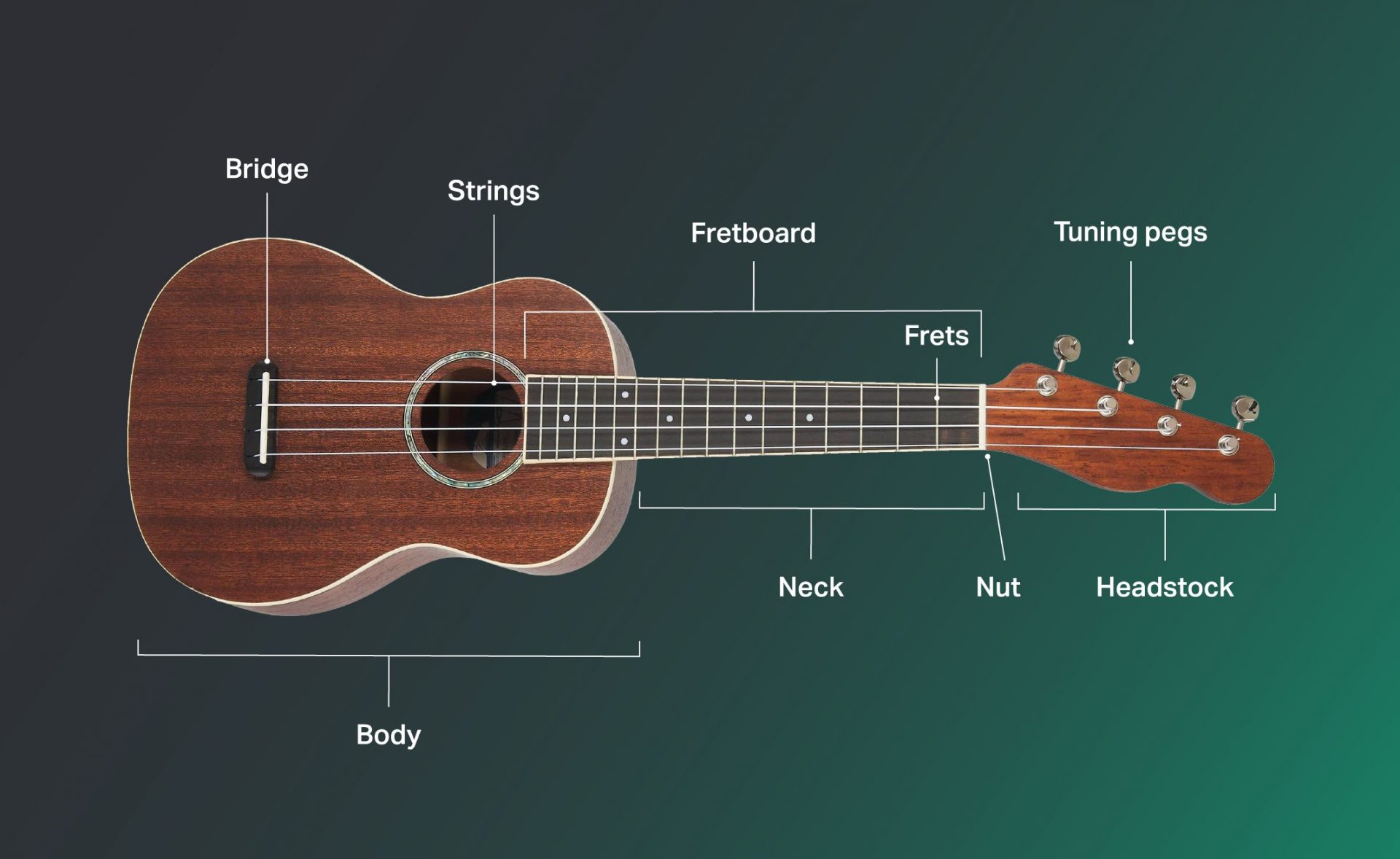 How to Play Ukulele | Learn Ukulele in 8 Steps | Yousician
