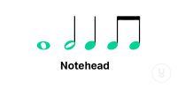 Music notes and what they mean - A beginner’s guide | Yousician