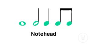 Music notes and what they mean - A beginner’s guide | Yousician